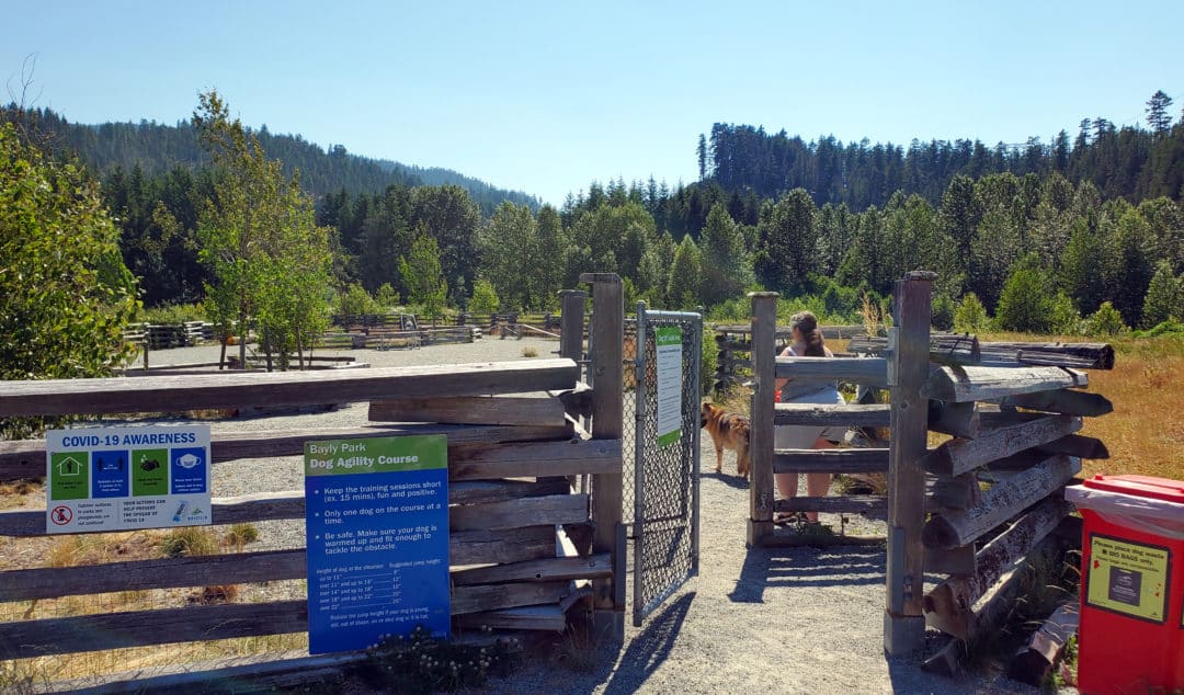 The Ultimate Guide to Enjoying Whistler With Your Dog