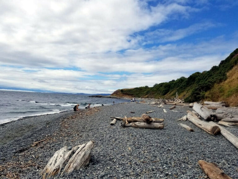 Beacon Hill Park (off-leash dog park) at Dallas Road Waterfront ...