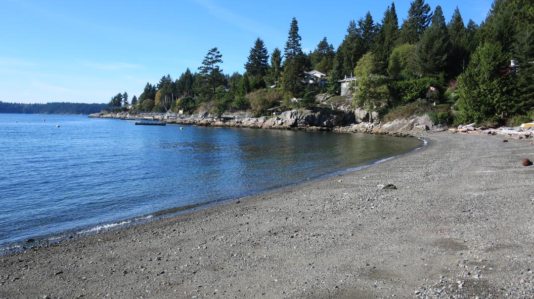 Bowen Bay Beach (off-leash dog beach), Bowen Island, BC | The Dog Network